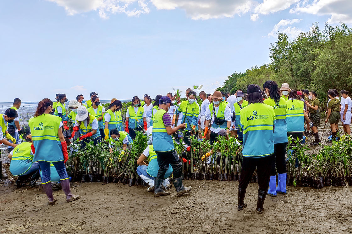 ASEZ WAO Revives the Mangrove Forest in Davao City, the Philippines ...